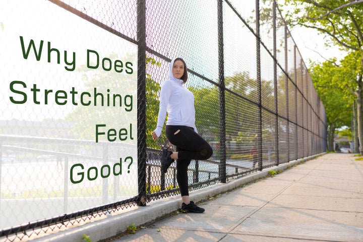 Why Does Stretching Feel Good? – Stelle
